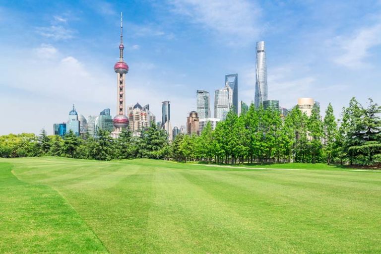 A Case Study in Shanghai: Reflecting on State Retreat Strategies in ...